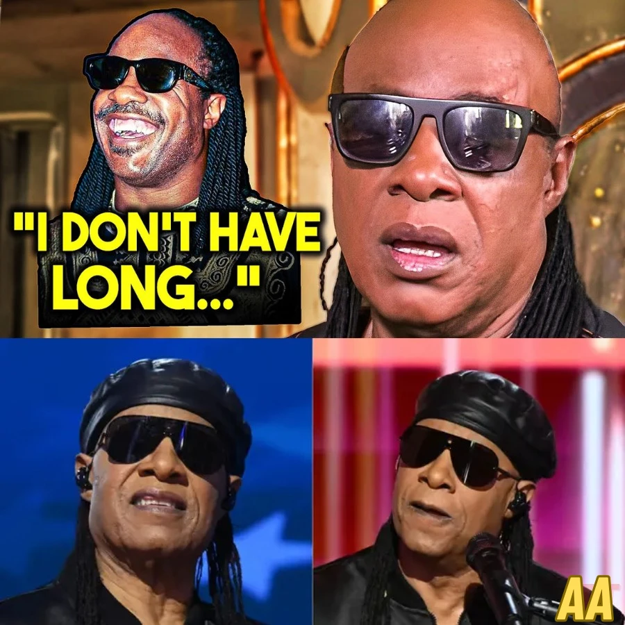 Stevie Wonder's Legacy: The Unbelievable Fortune He Leaves Behind and ...
