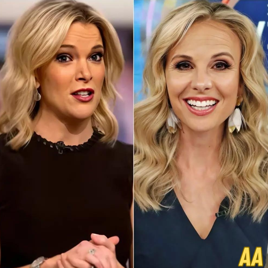 CBS Announces New Daytime Show Featuring Elisabeth Hasselbeck and Megyn ...