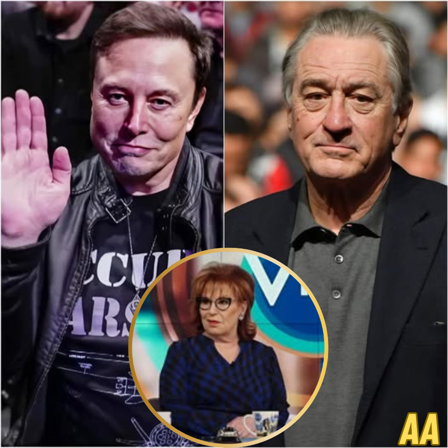 Robert De Niro Defends Joy Behar and Slams Elon Musk on The View: “He ...