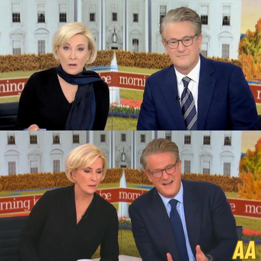 Despite poor ratings, two MSNBC stars will remain— Why Is the Network ...