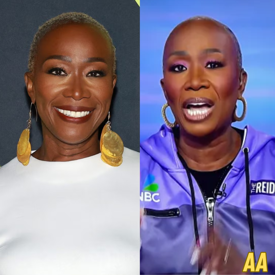 Joy-Ann Reid Upends the Media Landscape with the Launch of "The Joy ...