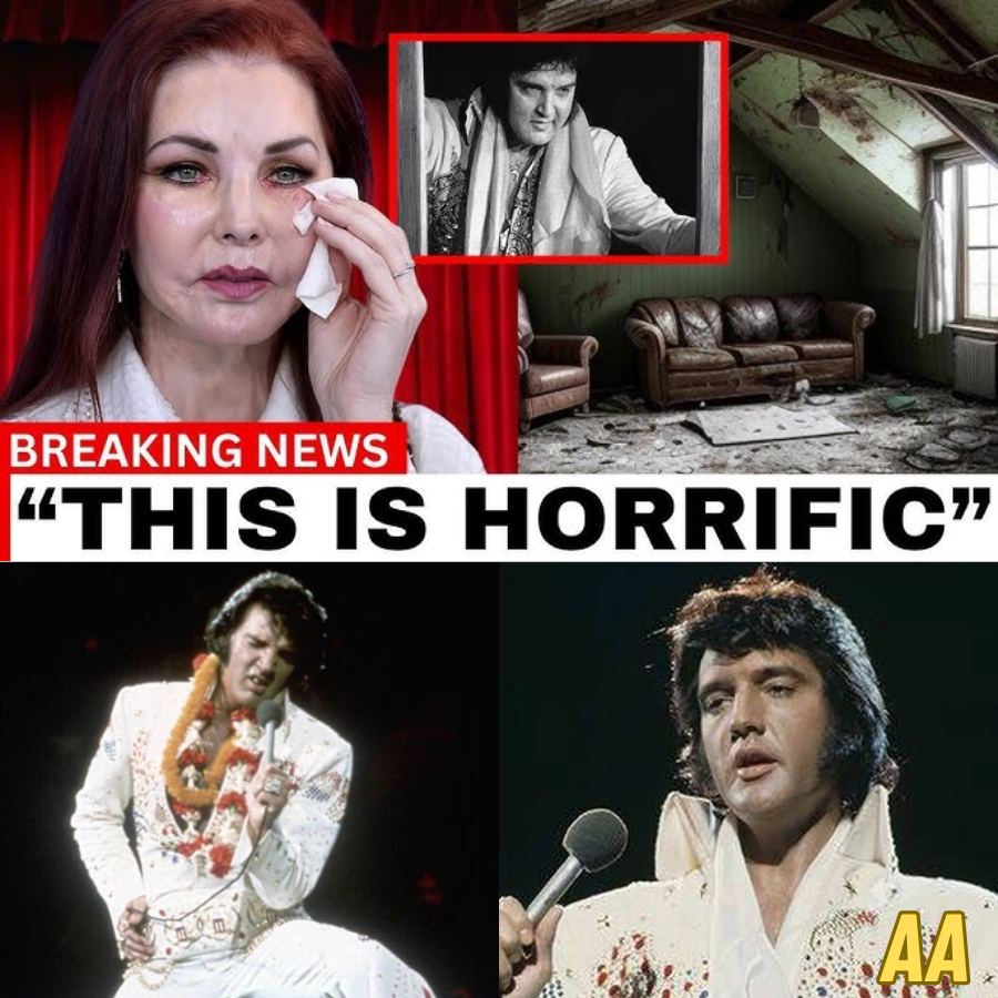 After 48 years, Elvis's attic was finally opened. What they found ...