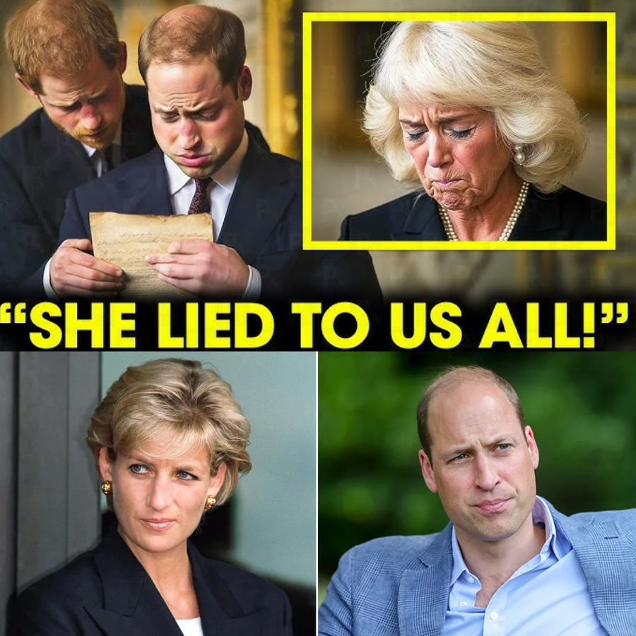 HIDDEN FOR DECADES: Diana's Secret Final Words to William Just Leaked ...